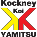 Yamitsu | Hatton Koi